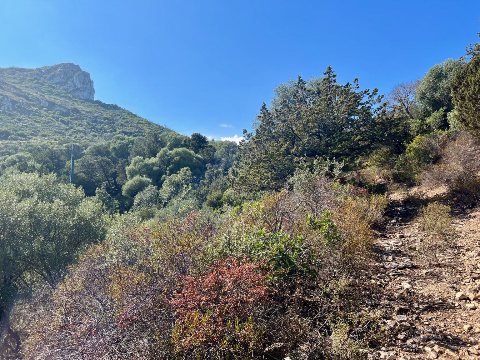 Hiking to Mount Ruju in Capo Figari Nature Park, by Golfo Aranci ...