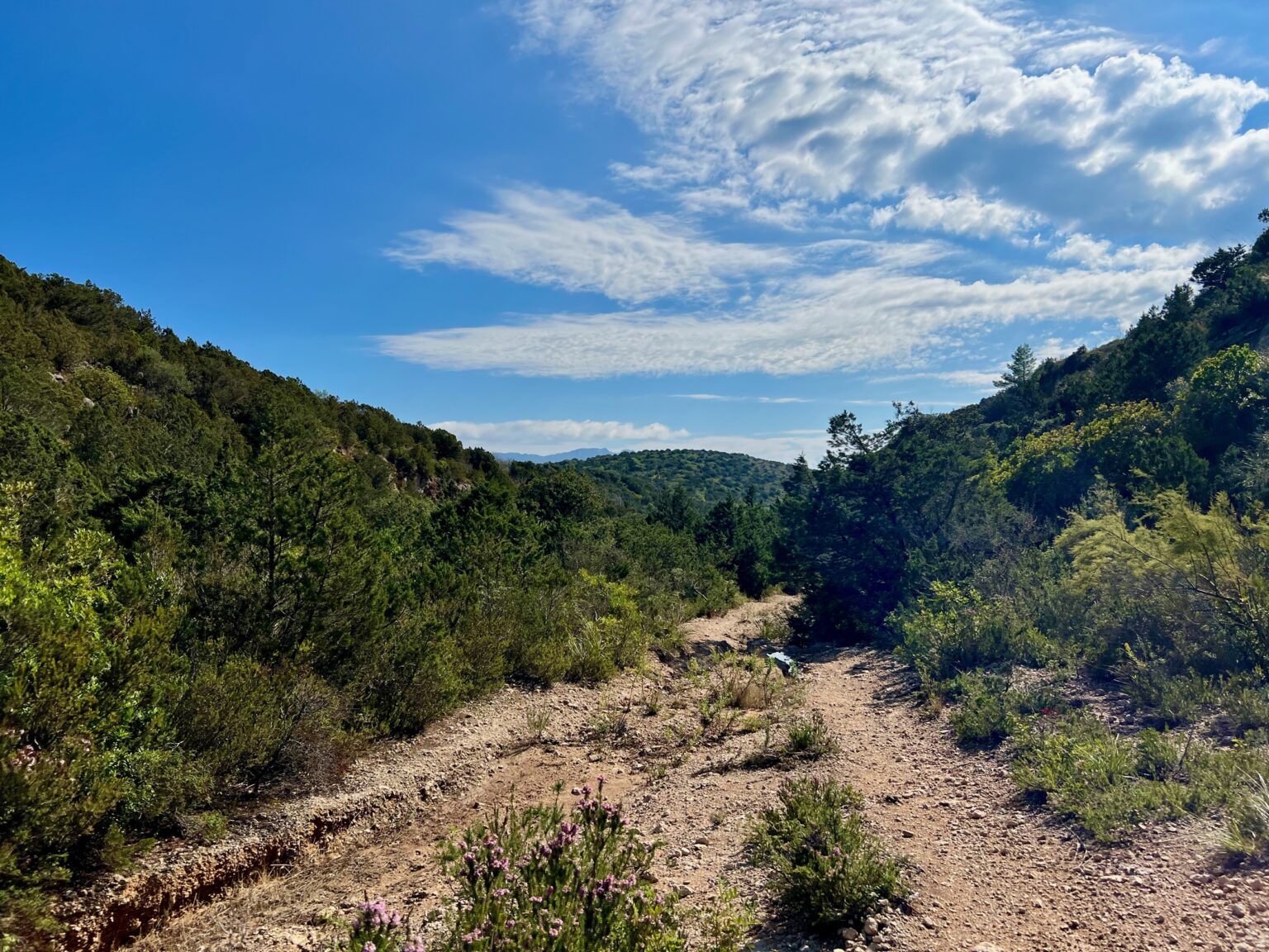 Hiking to Mount Ruju in Capo Figari Nature Park, by Golfo Aranci ...