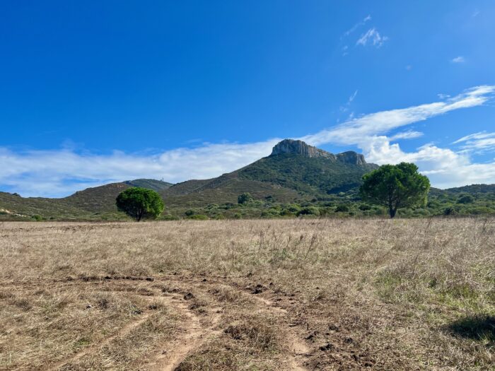 Hiking to Mount Ruju in Capo Figari Nature Park, by Golfo Aranci ...