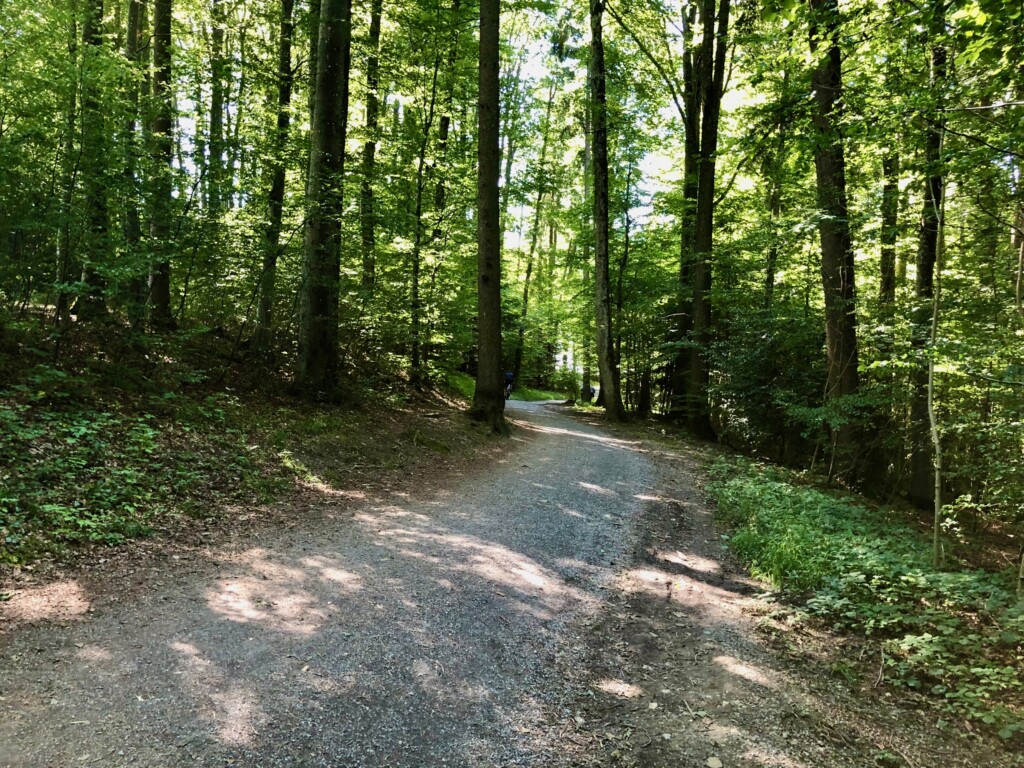 Hiking the Adliswil-Felsenegg Nordic Walking Park Adliswil, Felsenegg ...