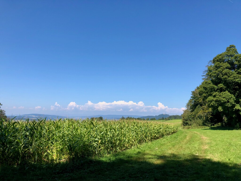 Hiking the Adliswil-Felsenegg Nordic Walking Park Adliswil, Felsenegg ...