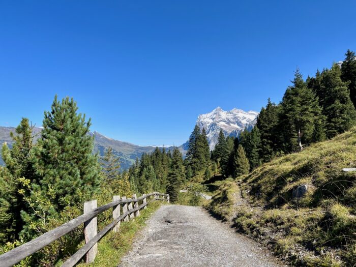 Visiting the Jungfraujoch + Two Short Hikes in the Jungfrau/Grindelwald ...