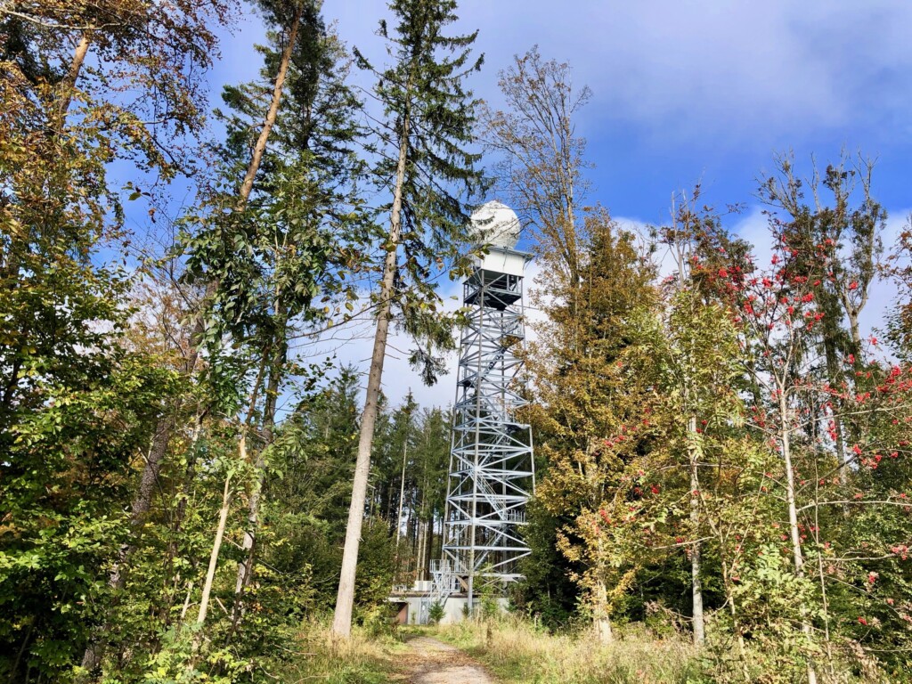 Hiking the Adliswil-Felsenegg Nordic Walking Park Buchenegg Trail ...