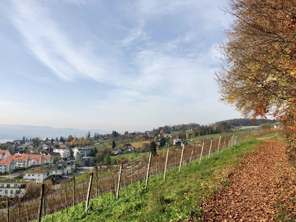 Hiking the Zürichsee-Rundweg Trail – Stage 8 Stäfa to Meilen - Square ...